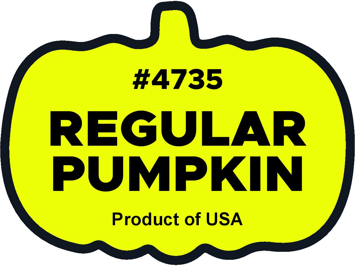 Regular Pumpkin 4735 plu labels – American Price Mark